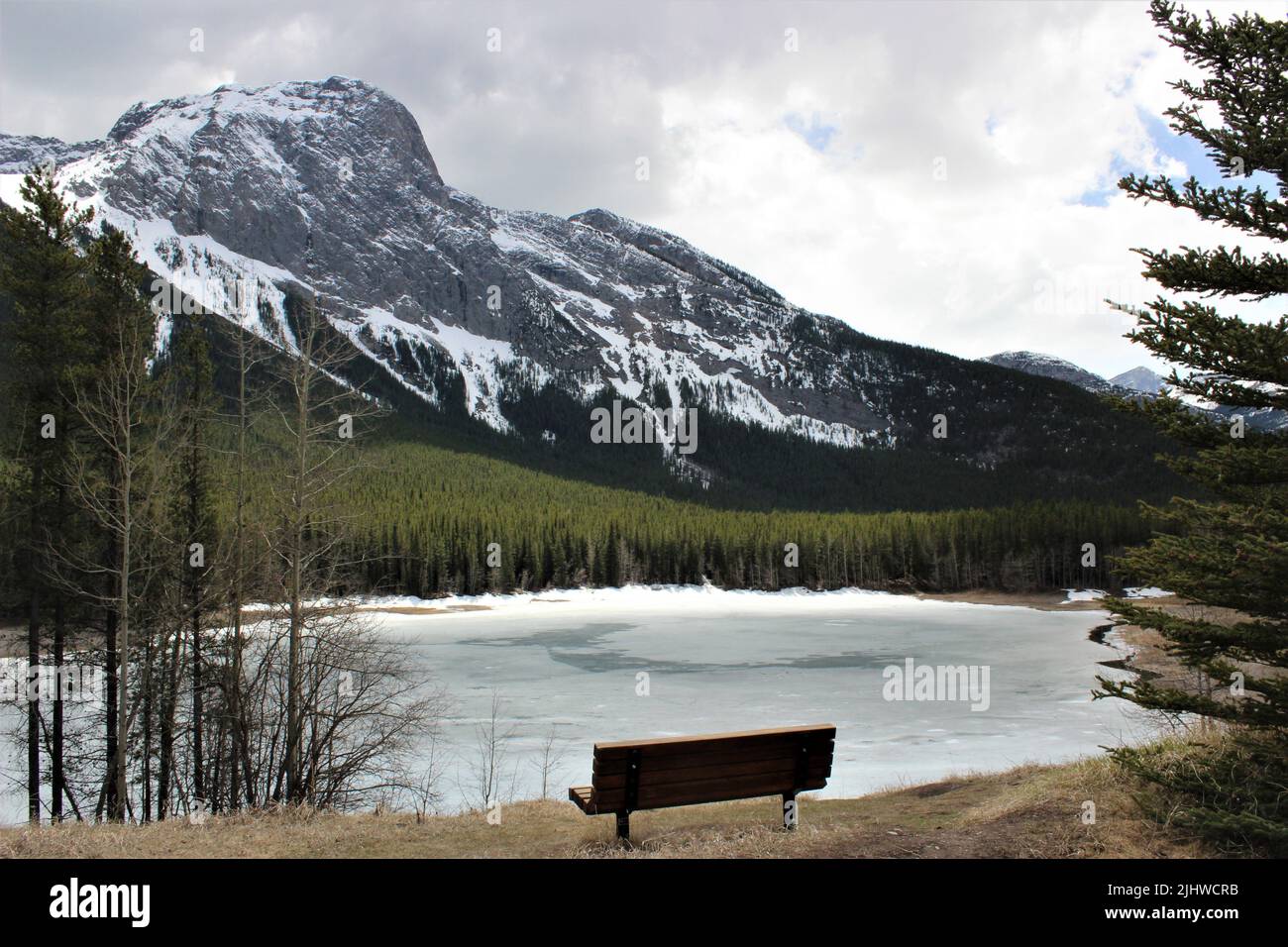 Bench viewpoint hi-res stock photography and images - Alamy