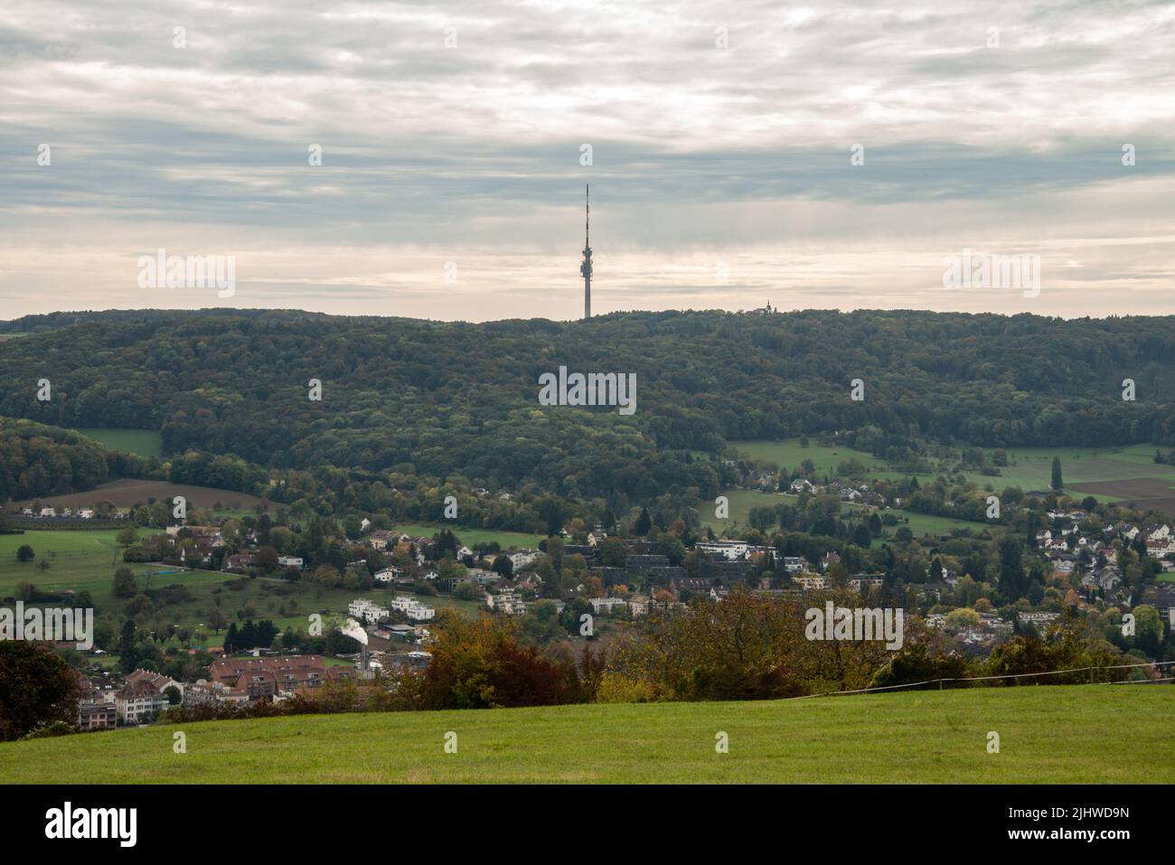 View of Loerrach, Germany, and tower of The Salzert Stock Photo - Alamy