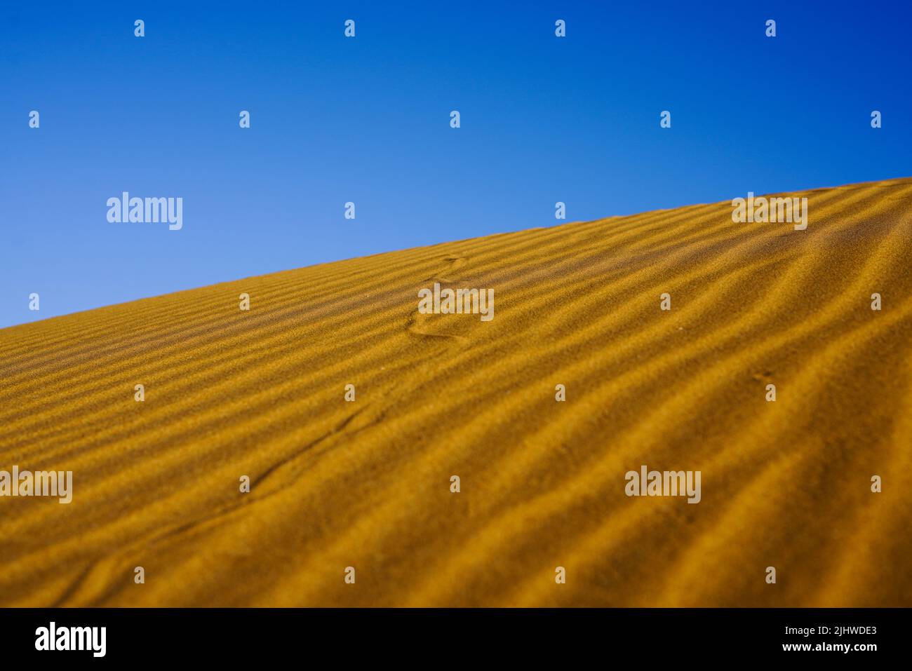 Snack tracks in the sand , Morocco Stock Photo - Alamy