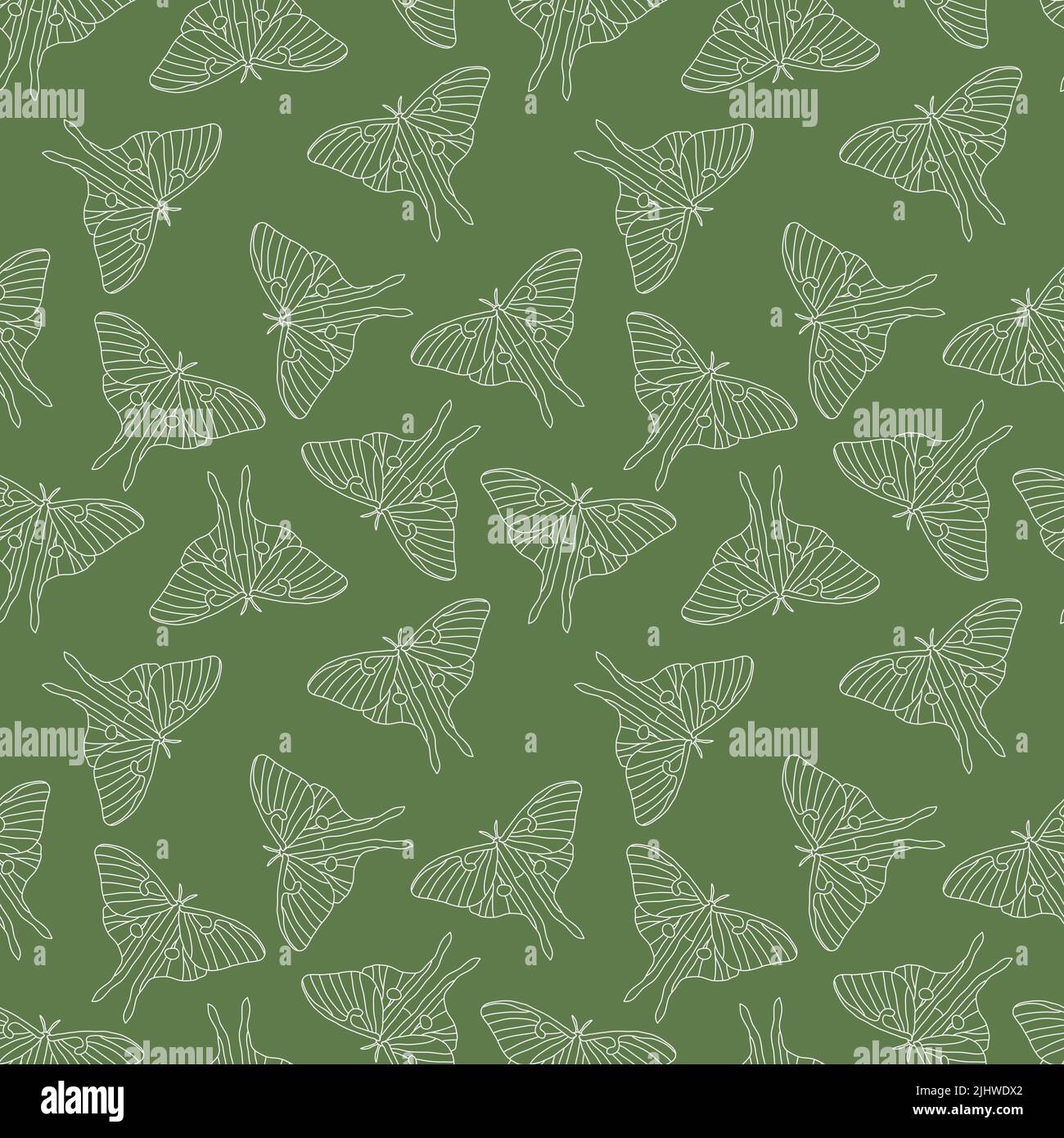 Luna moth seamless butterfly pattern for fabrics and wrapping paper and ...