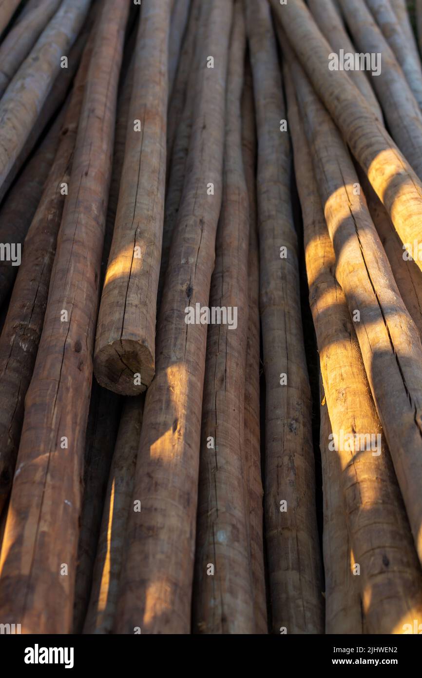 Logs of wood stacked for construction. Deforestation concept. Materials ...