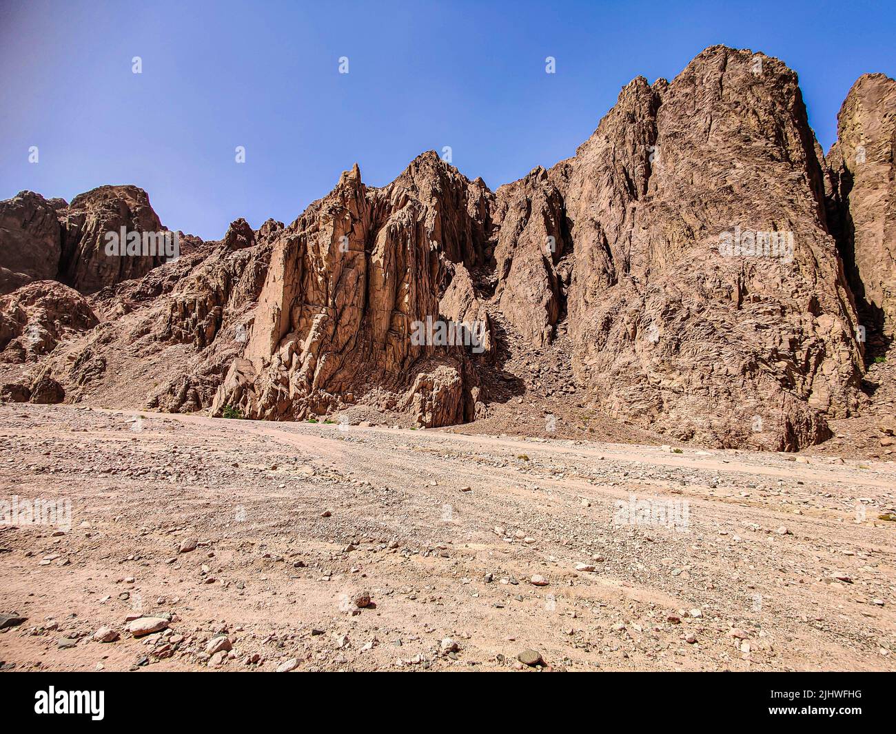 Beautiful Oasis in the desert with palm and mountain view in Dahab, Sinai, Egypt Stock Photo - Alamy