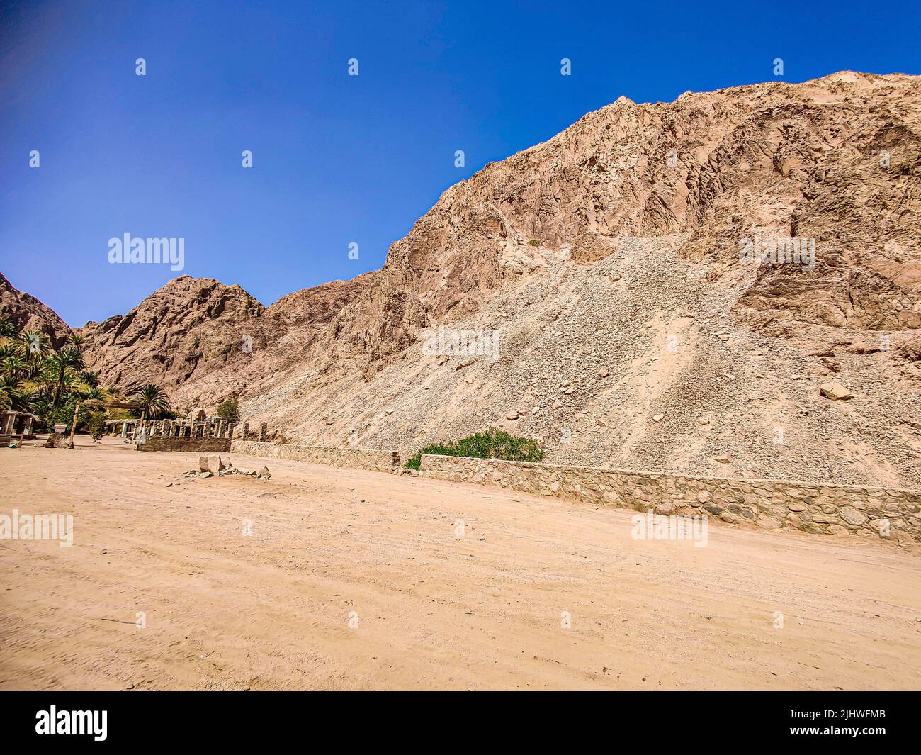 Beautiful Oasis in the desert with palm and mountain view in Dahab ...