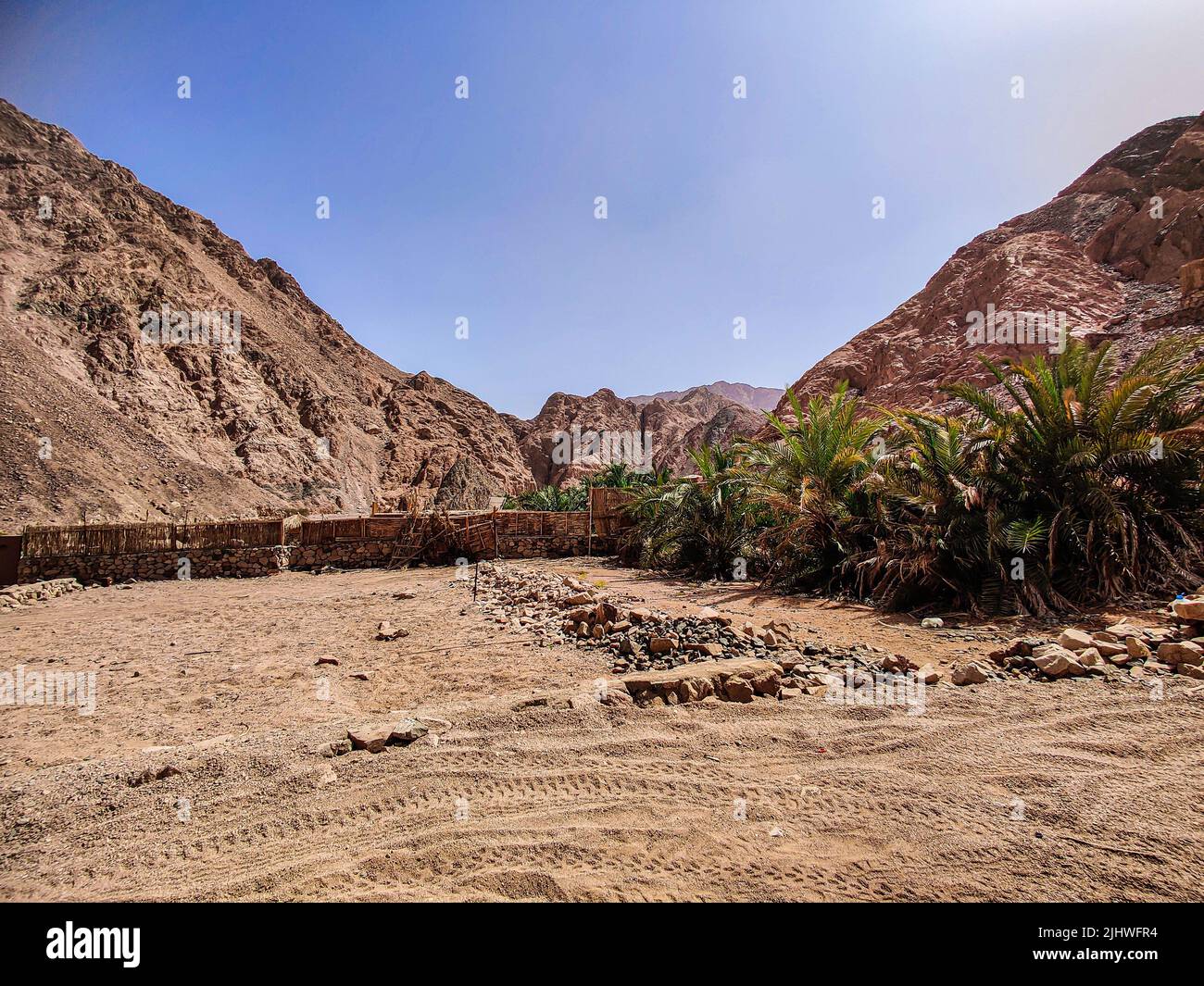 Beautiful Oasis in the desert with palm and mountain view in Dahab ...
