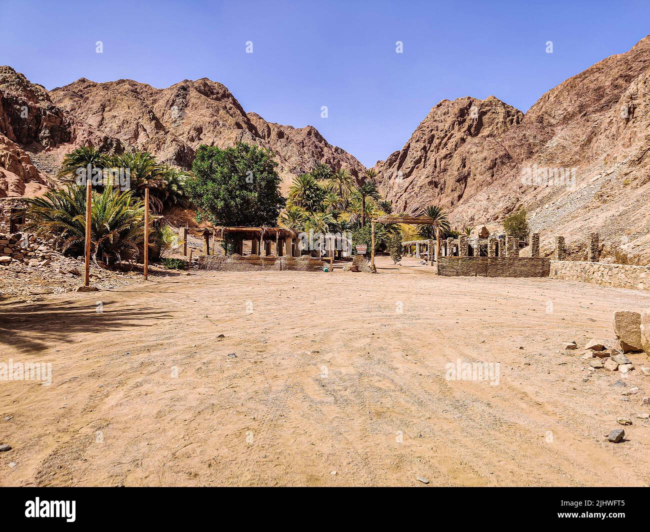 Beautiful Oasis in the desert with palm and mountain view in Dahab ...