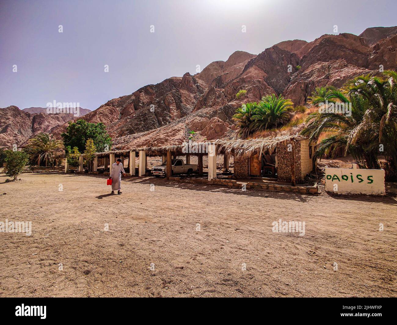 Beautiful Oasis in the desert with palm and mountain view in Dahab ...