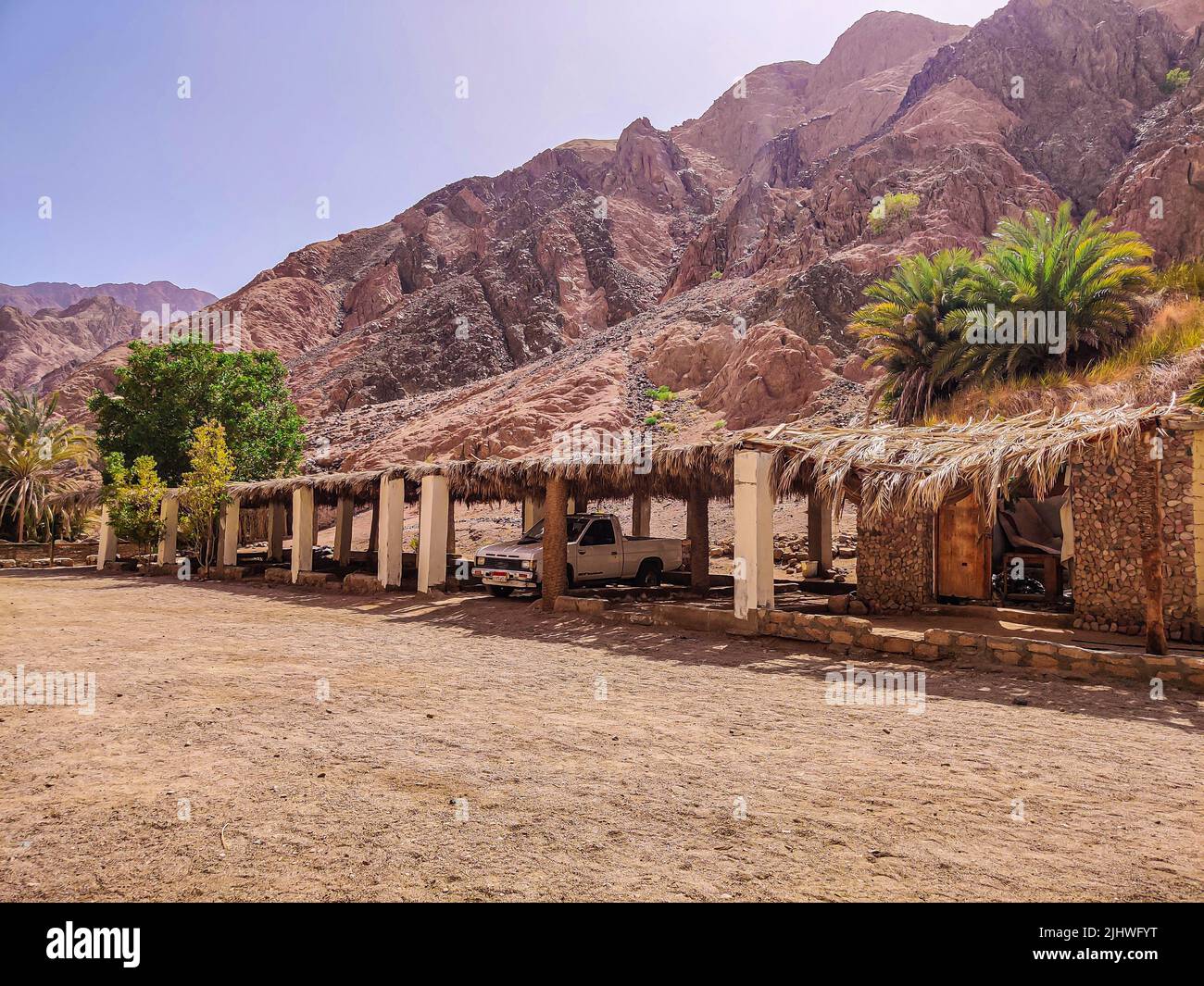 Beautiful Oasis in the desert with palm and mountain view in Dahab ...