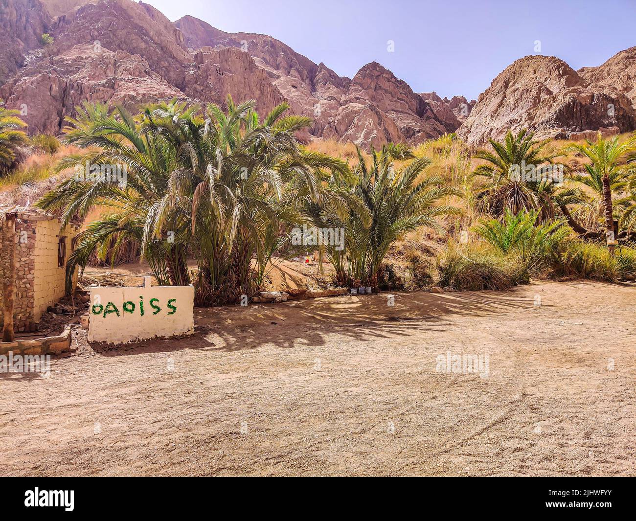 Beautiful Oasis in the desert with palm and mountain view in Dahab ...