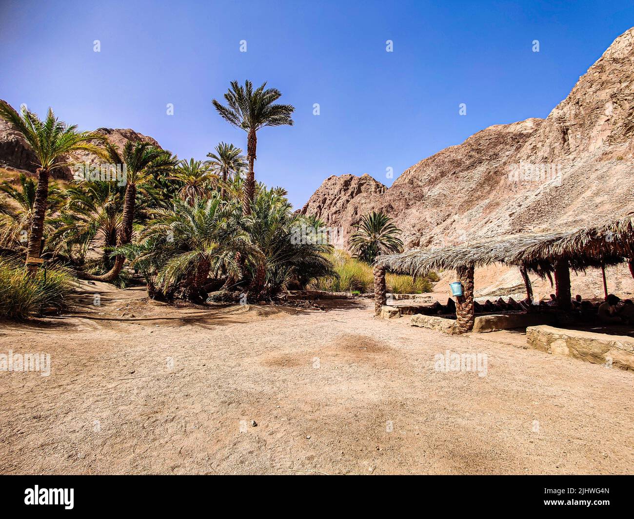 Beautiful Oasis in the desert with palm and mountain view in Dahab ...