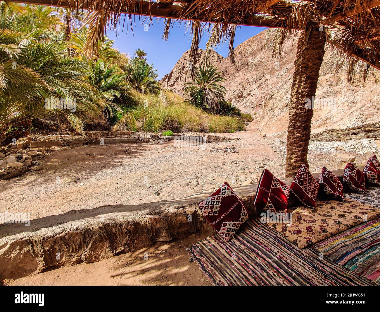 Beautiful Oasis in the desert with palm and mountain view in Dahab ...