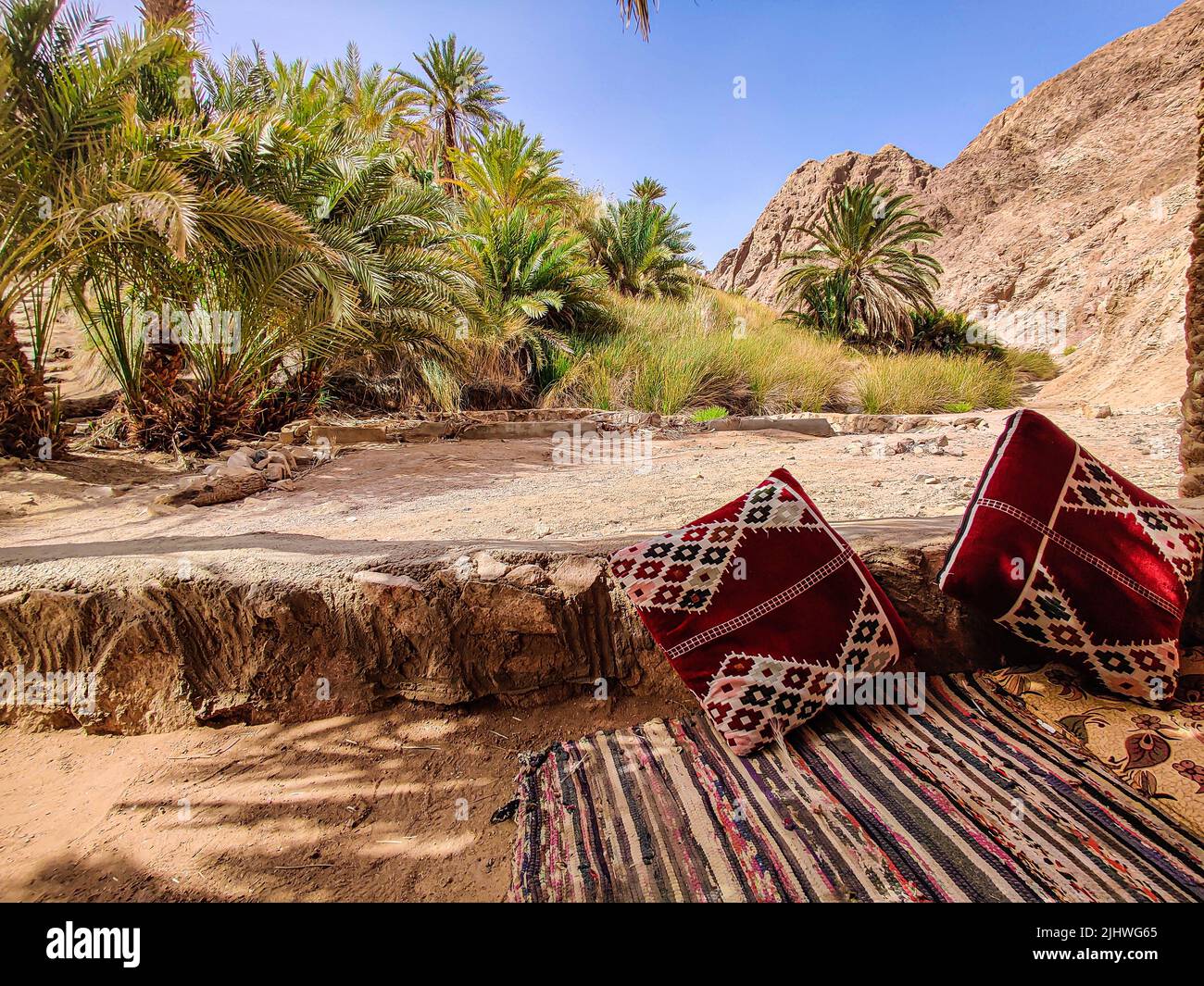 Beautiful Oasis in the desert with palm and mountain view in Dahab ...