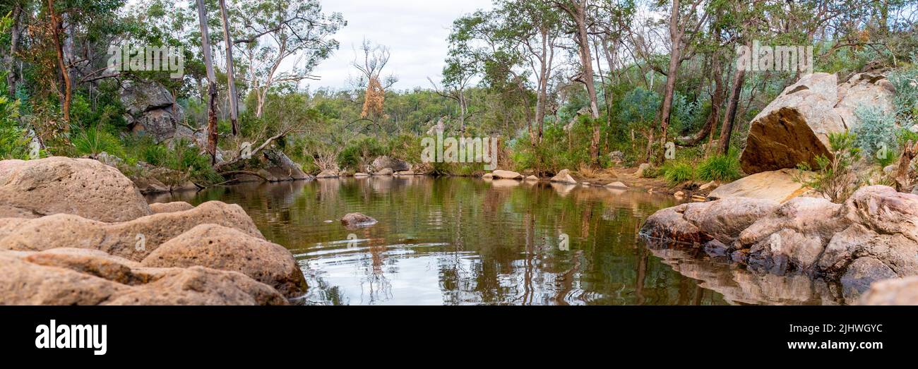 Panoramic natural Australian bush landscape in Queensland, Australia ...