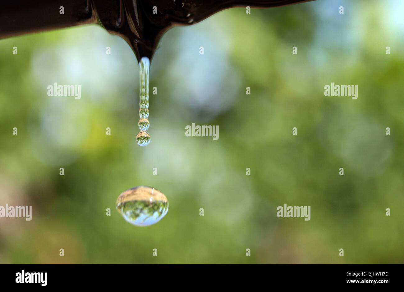 Drip irrigation system in a vineyard hi-res stock photography and ...