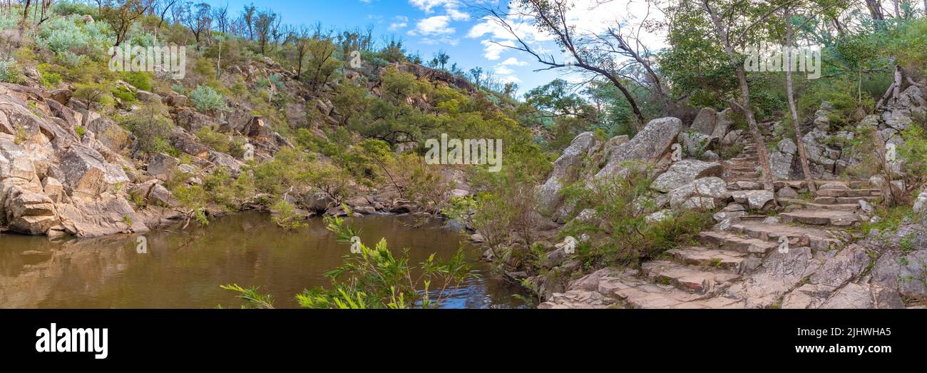 Panoramic natural Australian bush landscape in Queensland, Australia ...
