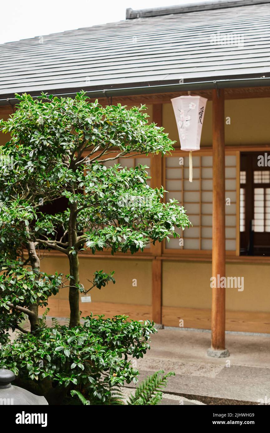 Japanese-style house by the forest. View of the rocks and forest ...