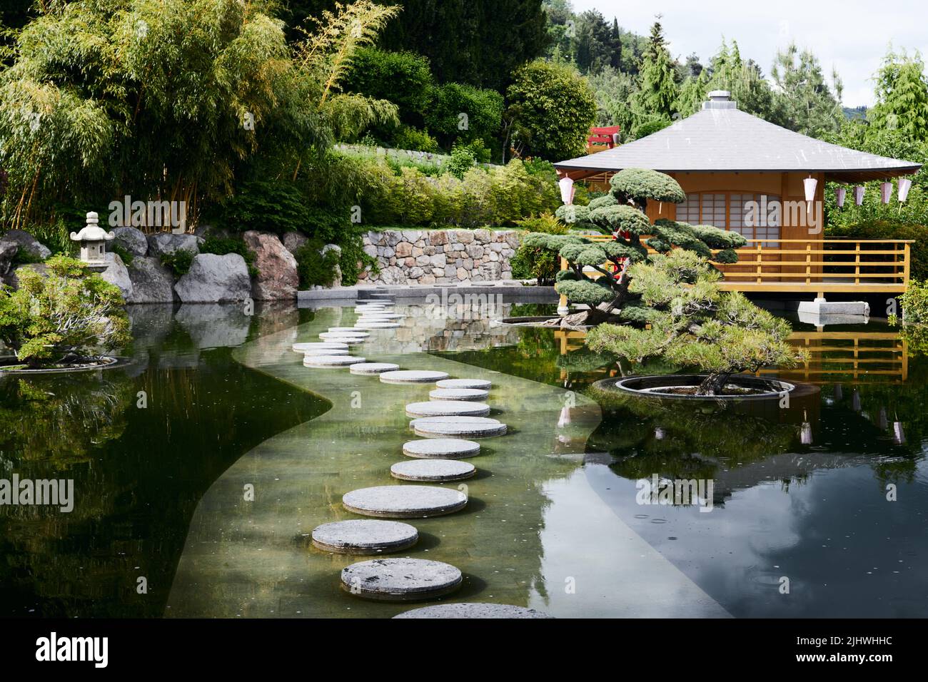 Forest Within A Mansion On A Pond