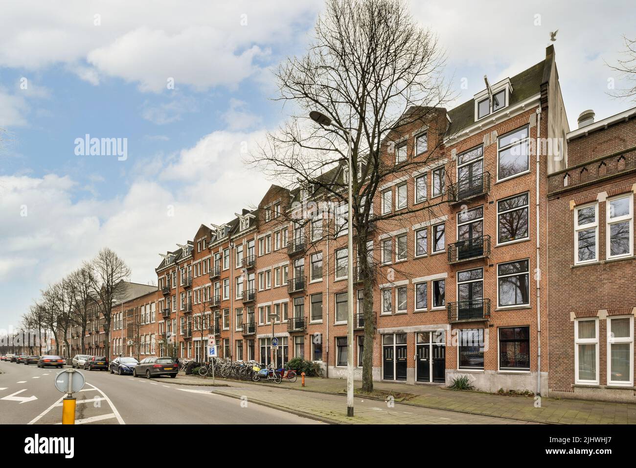 View of street near building with beauty of vegitation and other ...