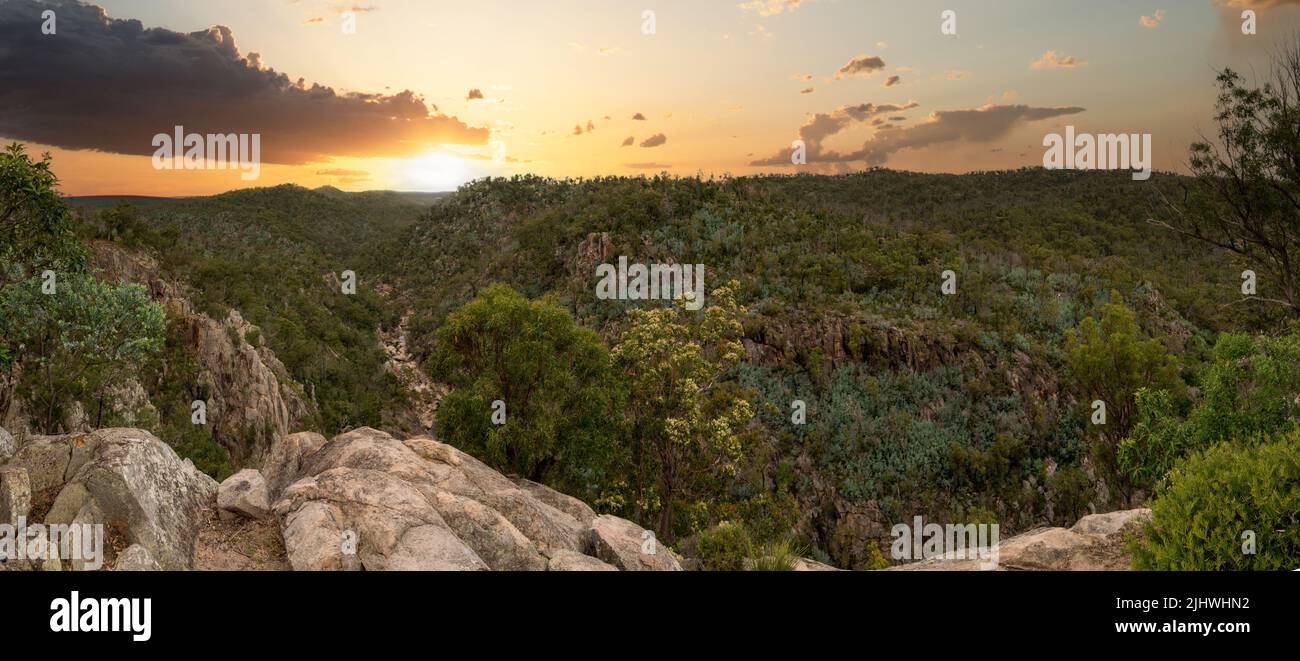 Panoramic natural Australian bush landscape in Queensland, Australia ...