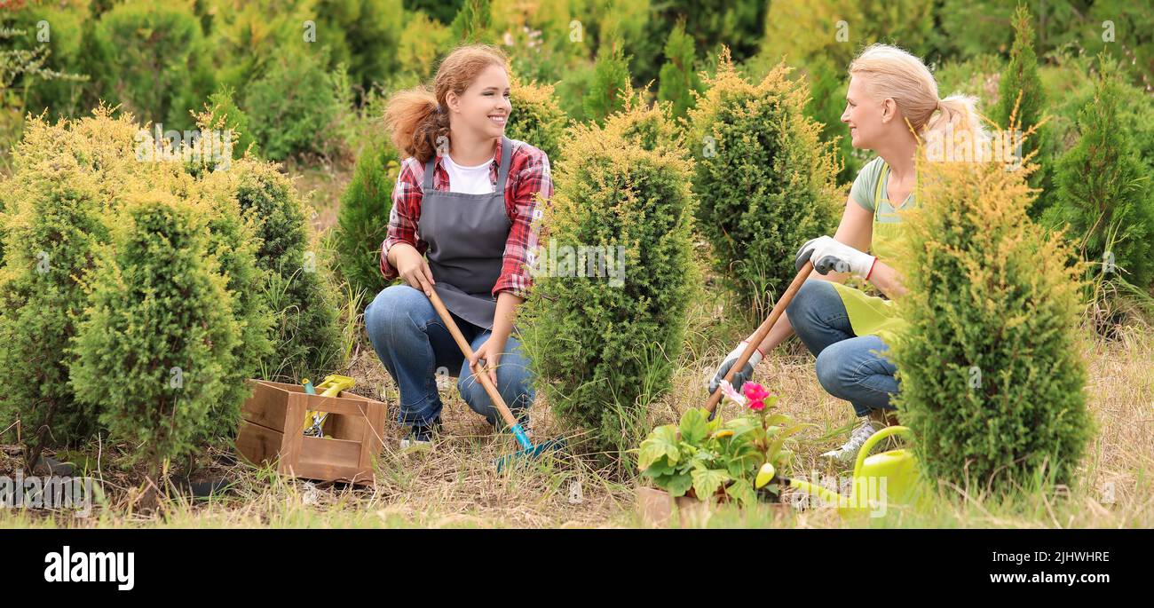 Female gardeners taking care of plants on spring day Stock Photo - Alamy