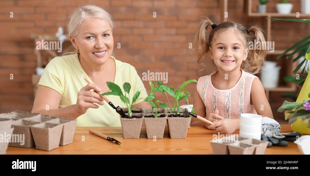 Cute girl with grandmother setting out young plants in pots at home ...
