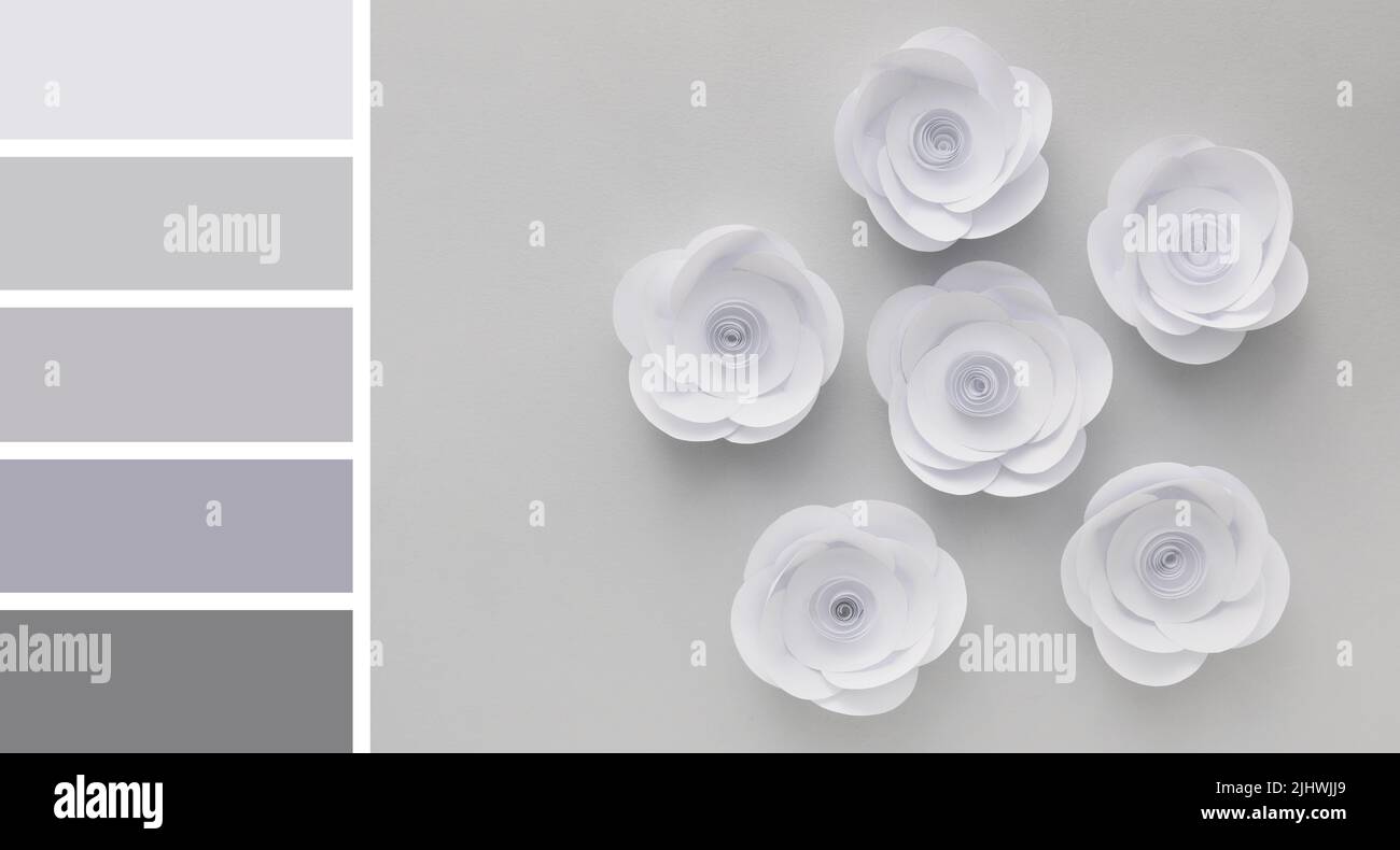 Paper flowers on grey background. Different color patterns Stock Photo ...