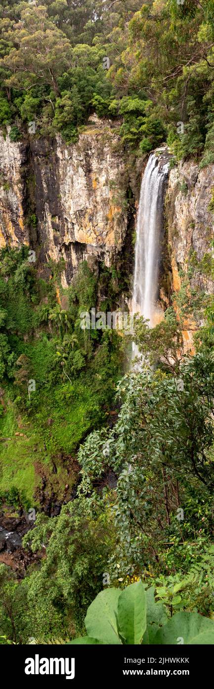 Purling Brook Falls in beautiful panoramic portrait view Stock Photo ...