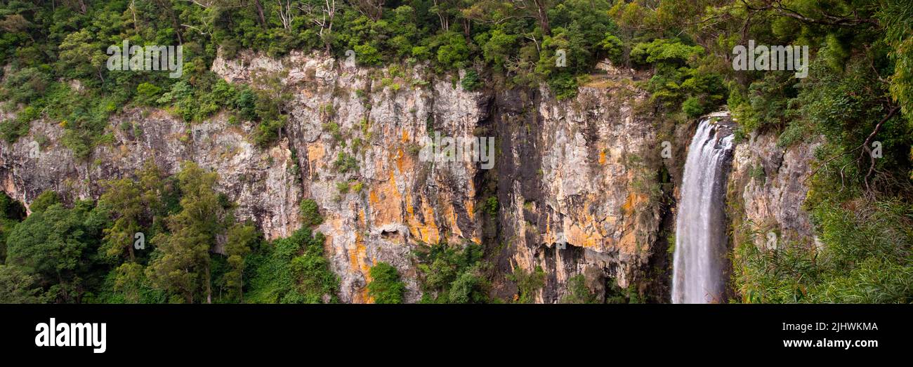 Stunning landscape view in Springbrook National Park with cascading ...