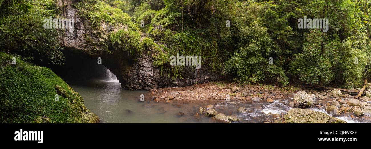 Natural Bridge in Springbrook National Park with waterfall Stock Photo ...