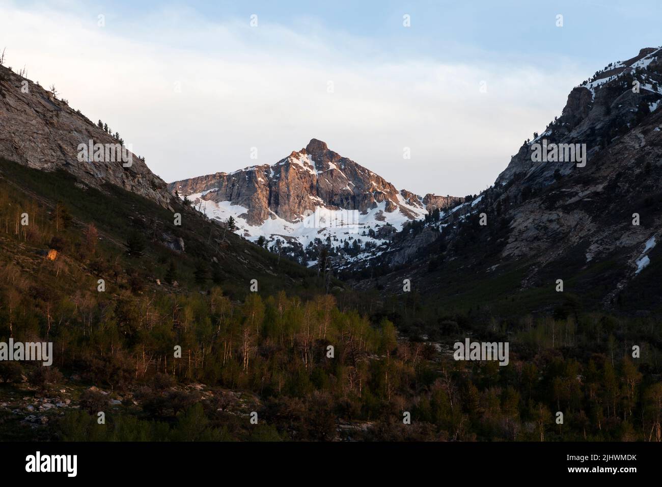 Mt. Fitzgerald rises above Thomas Canyon the Ruby Mountains south of ...