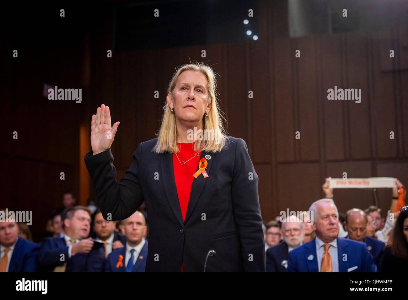 Highland Park Mayor Nancy R. Rotering is sworn-in during a Senate ...