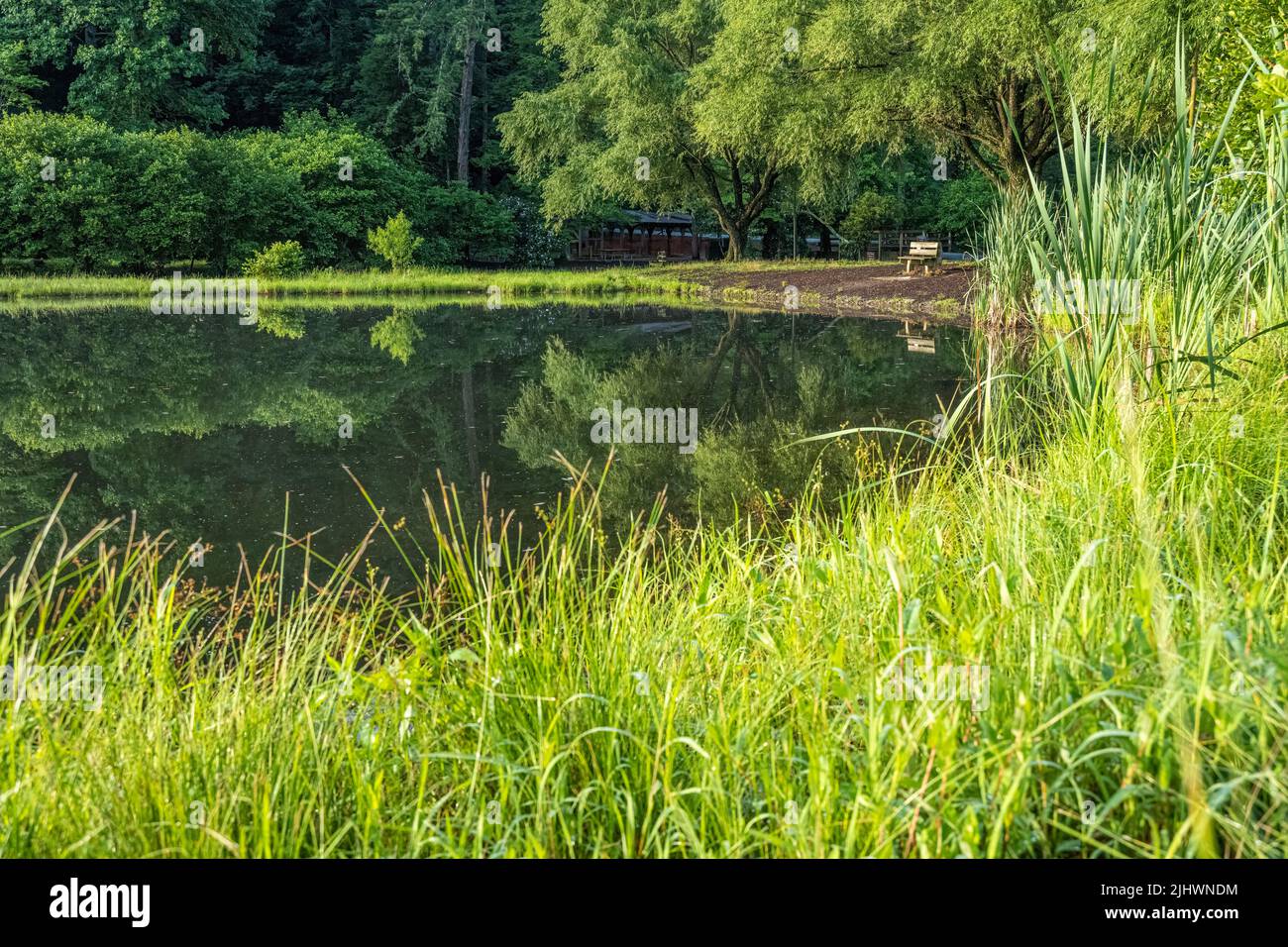 Scenic landscape sunrise on Lake Trahlyta At Vogel State Park in the ...