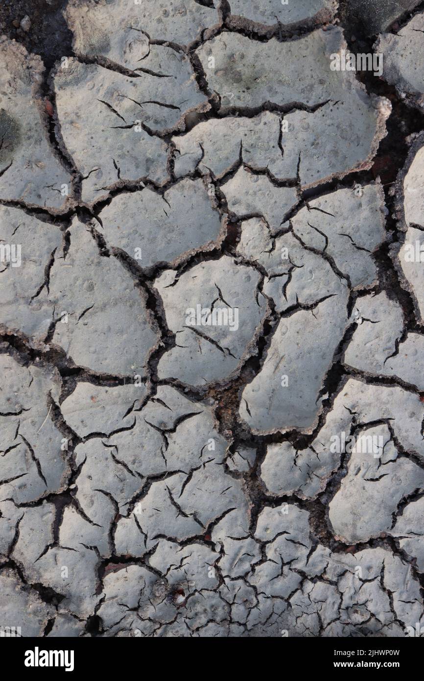 A closeup of a texture of dry cracked ground Stock Photo - Alamy
