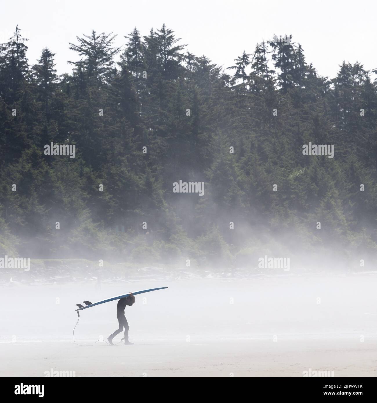 Surfboard chesterman beach tofino british columbia surfer hi-res stock ...
