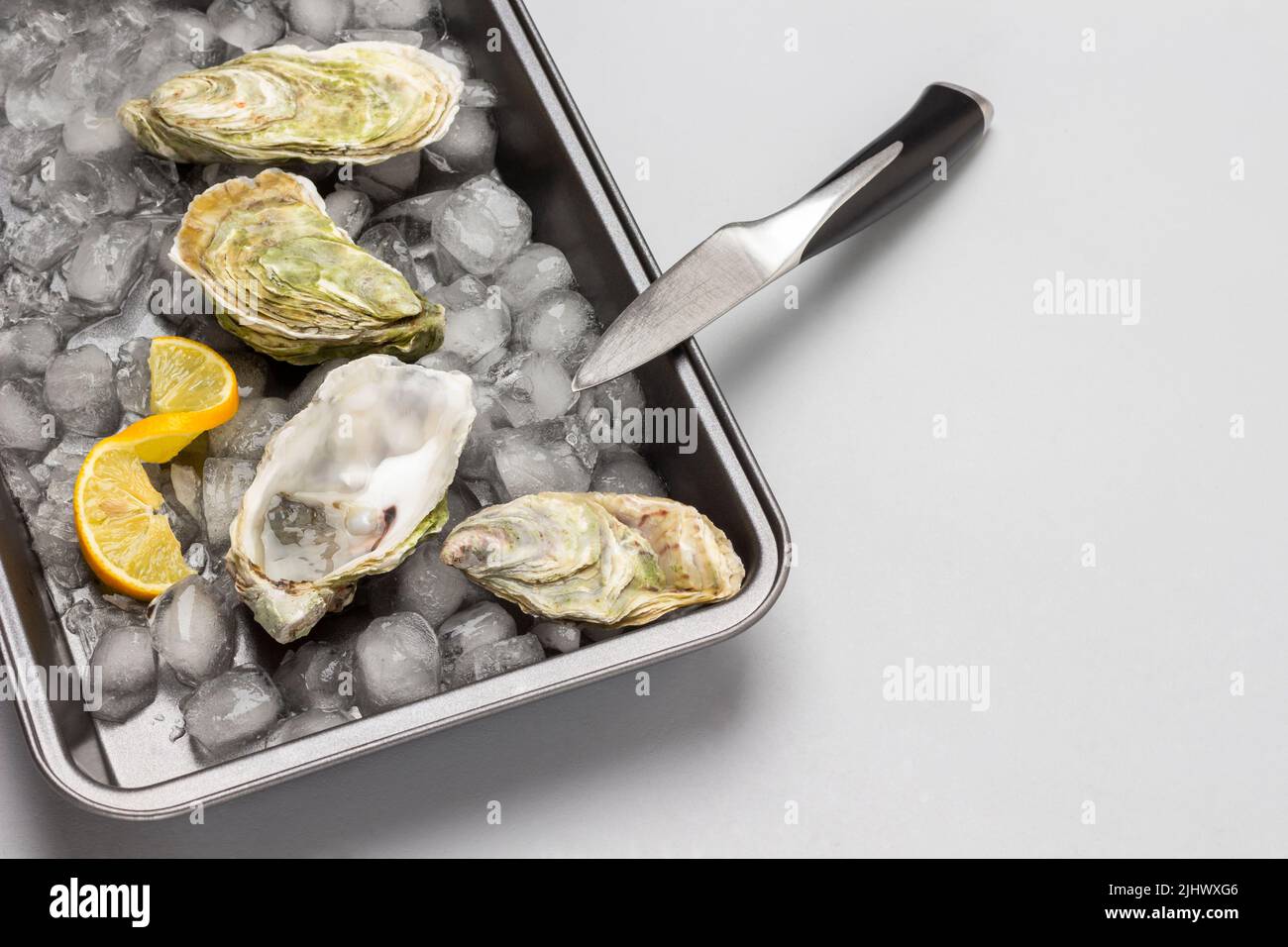 Oysters in shell with ice in tray. Copy space. Top view. Gray ...