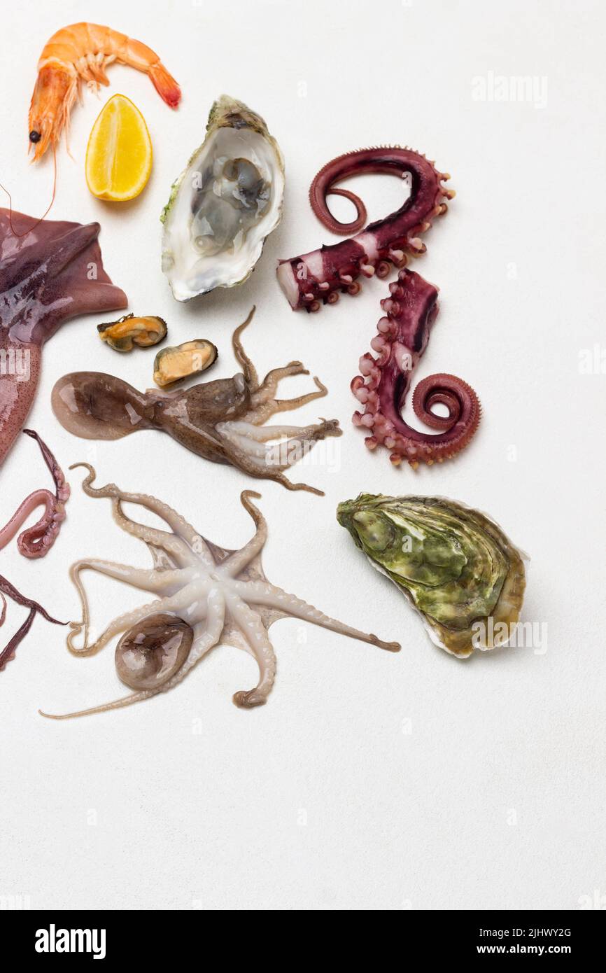 Oyster in the shell, octopus tentacles, baby octopus on white. Flat lay ...