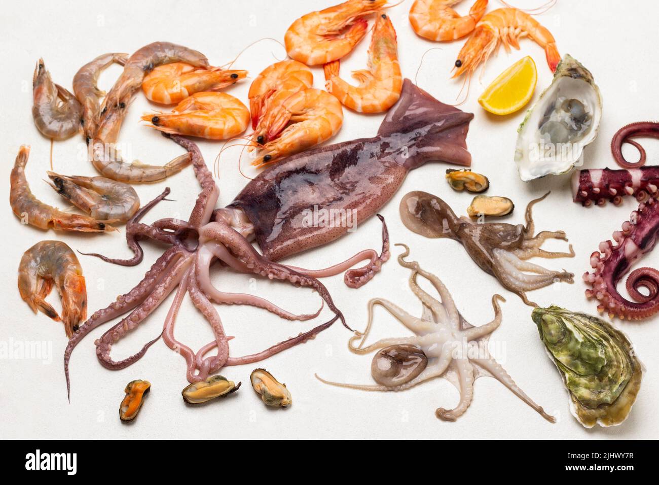 Squid, shrimp, baby octopus, oyster in shell on white. Flat lay Stock ...