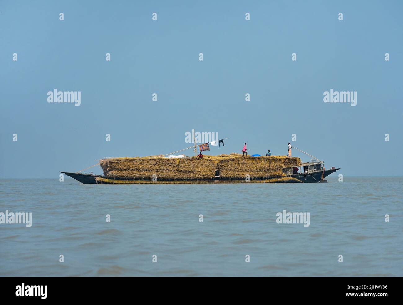 Farmers loading haystacks on buffalo carts, carrying across river on ...