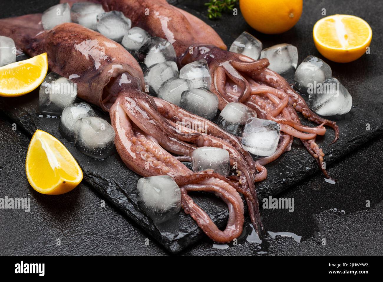Fresh squid with tentacles with ice and lemon on stone board. Close up ...