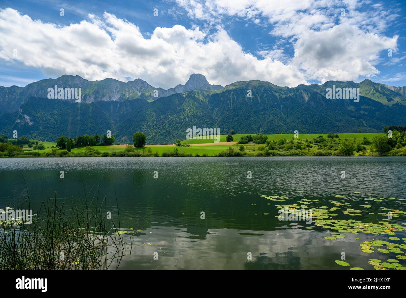Lake Amsoldingersee in summer with Stockhorn in the background Stock ...