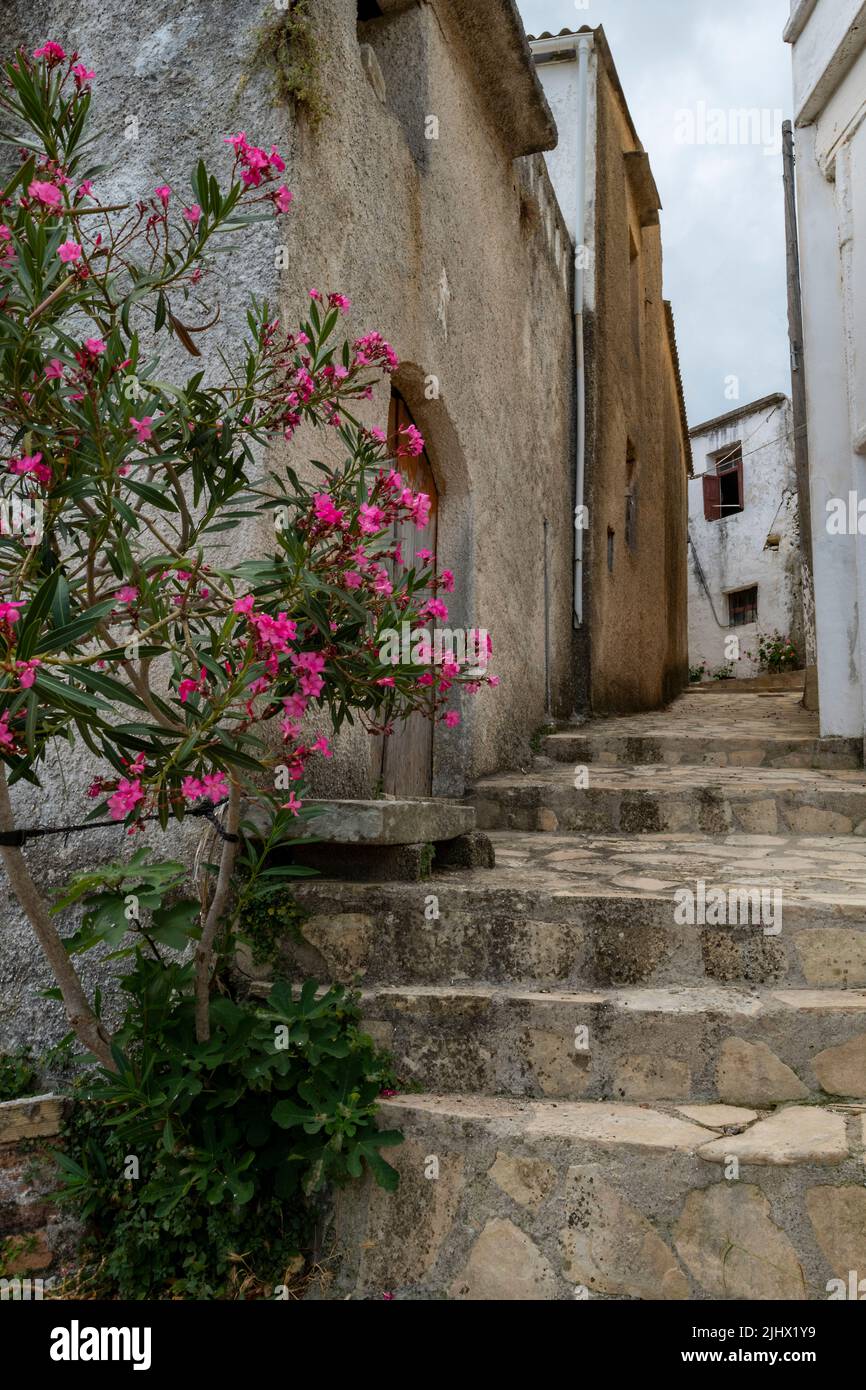 typically greek street on the island of crete with a row of stone steps ...