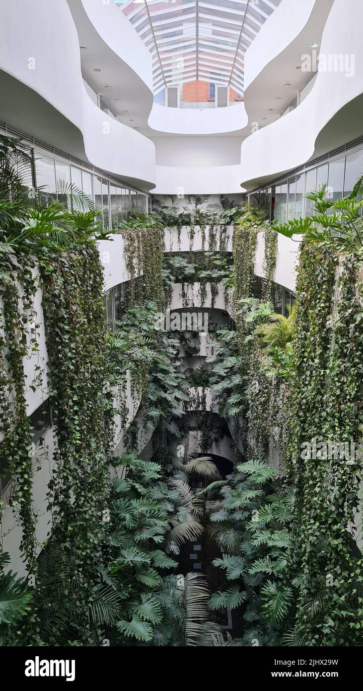 Interior of a multi-story office building with greenery hanging from ...