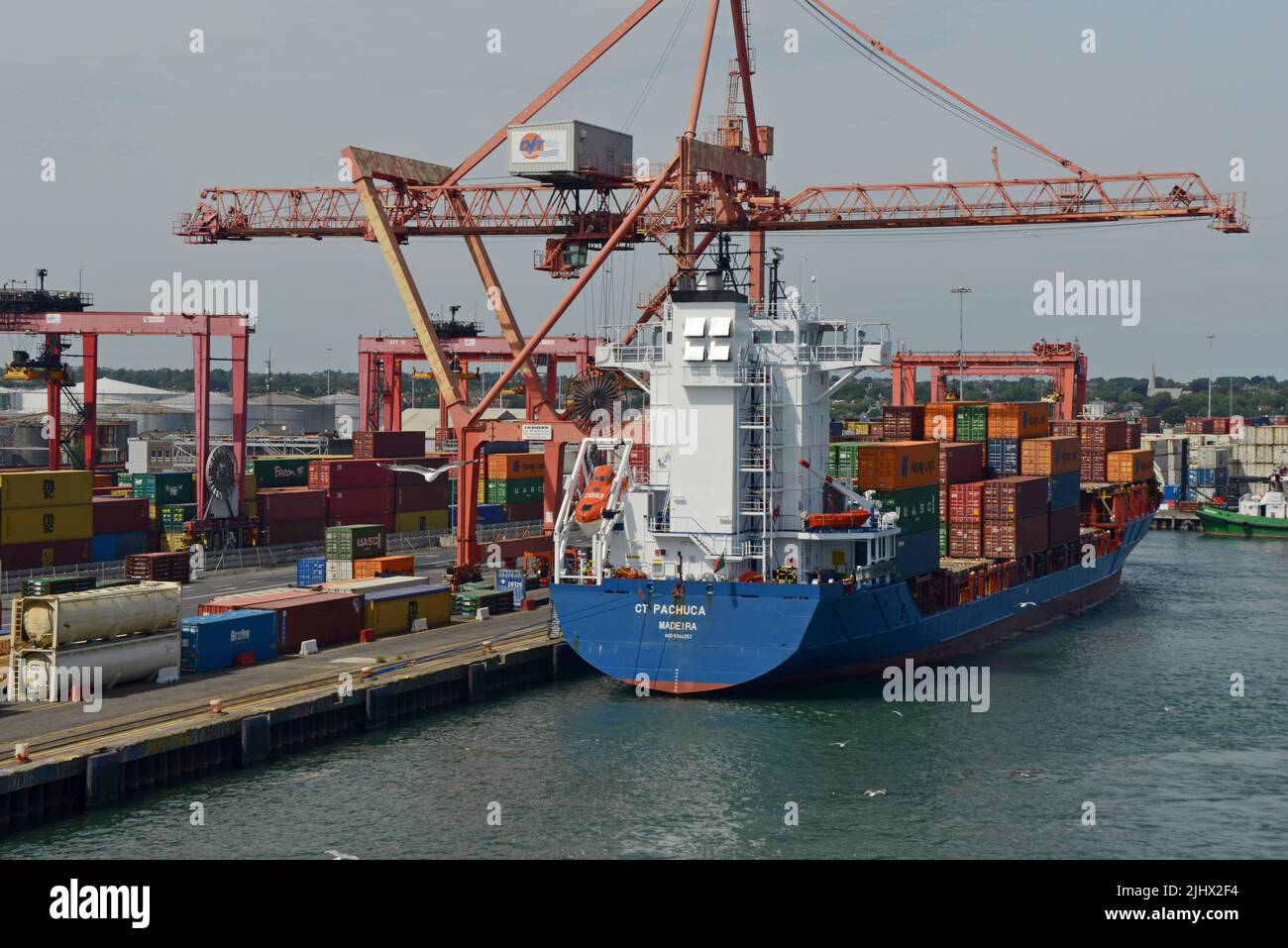 Container crane unloading the CT Pachua in Dublin Port, Ireland, July 2022 Stock Photo - Alamy