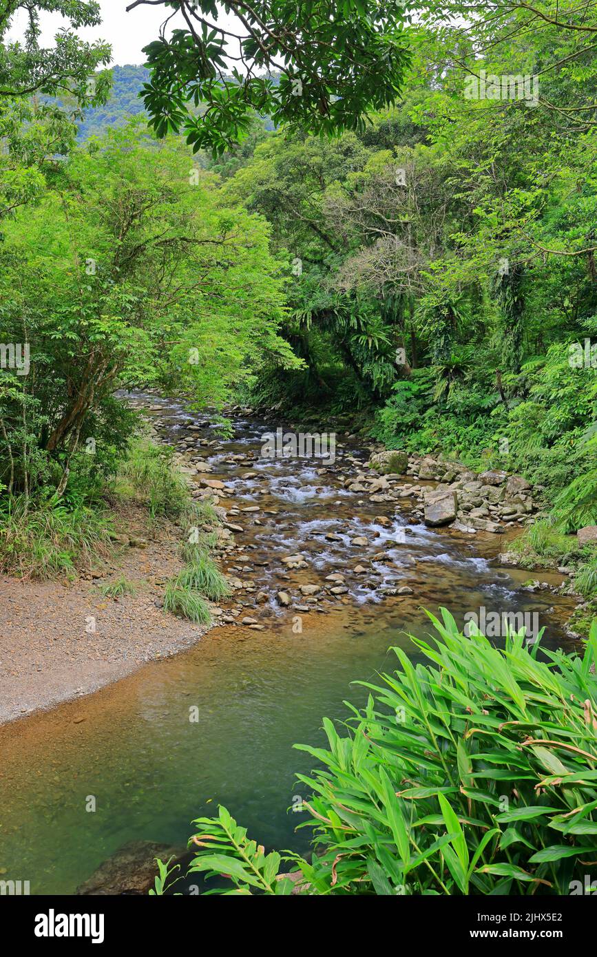 Jingualiao Fish and Fern Trail at Pinglin Dist., New Taipei City ...
