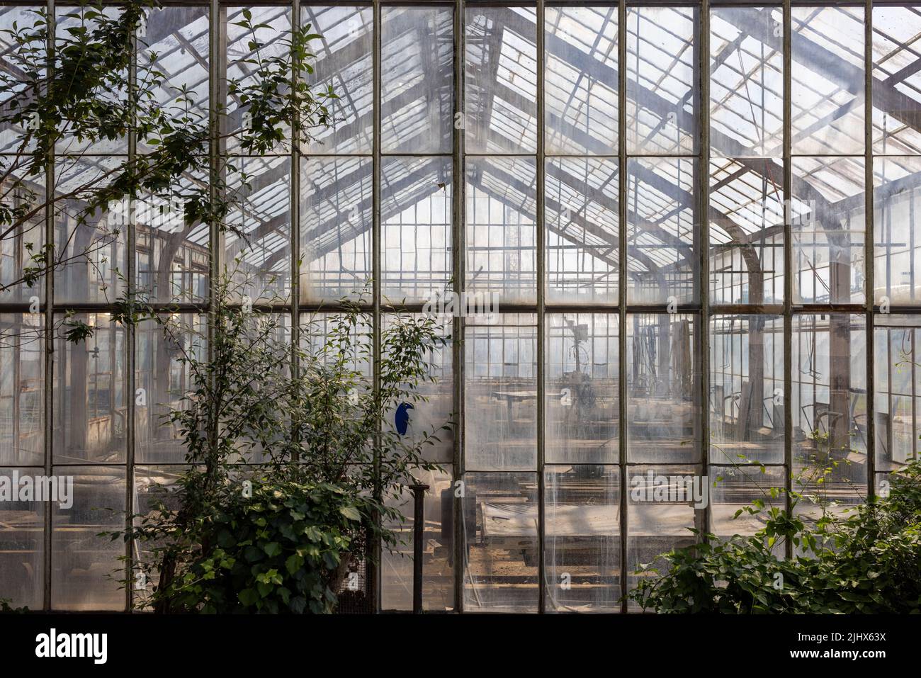Old glass house with symmetrical windows Stock Photo - Alamy