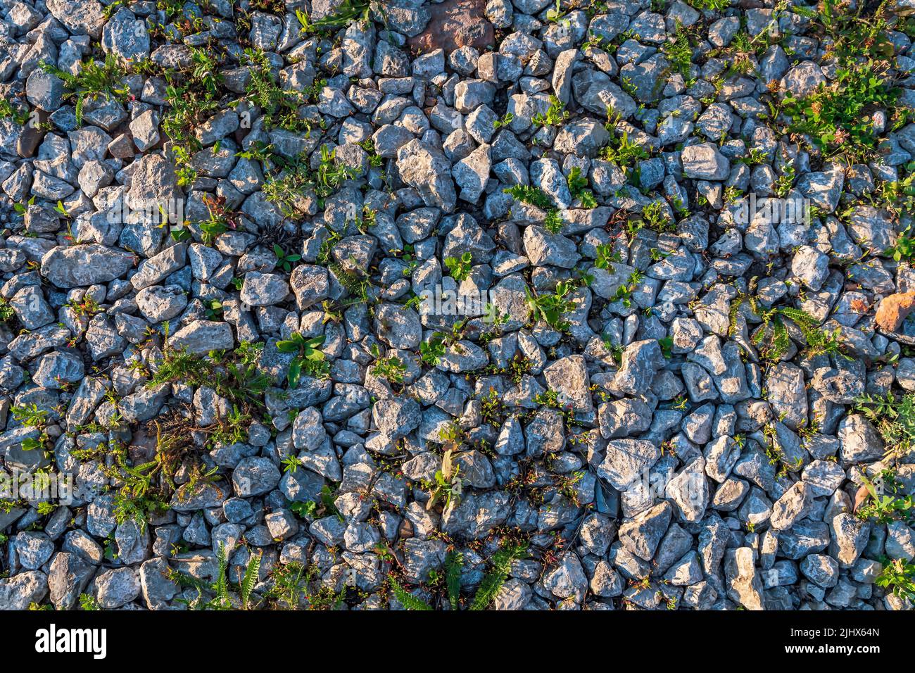 Textured surface of dirt road backfilled with crushed stone screenings ...