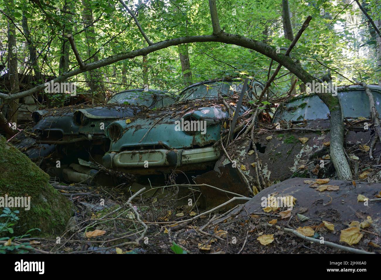 A shot of an abandoned and old car in the forest Stock Photo - Alamy