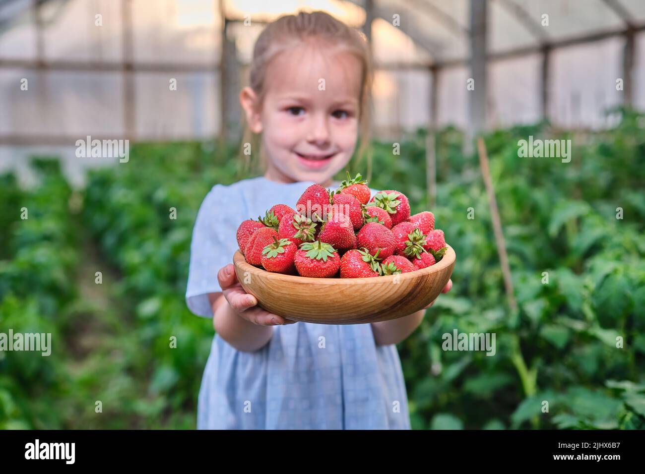 Cute little girl holding plate fresh picked ripe strawberries berry ...