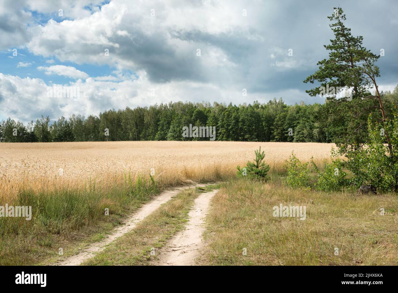 Banks of the berezina river hi-res stock photography and images - Alamy