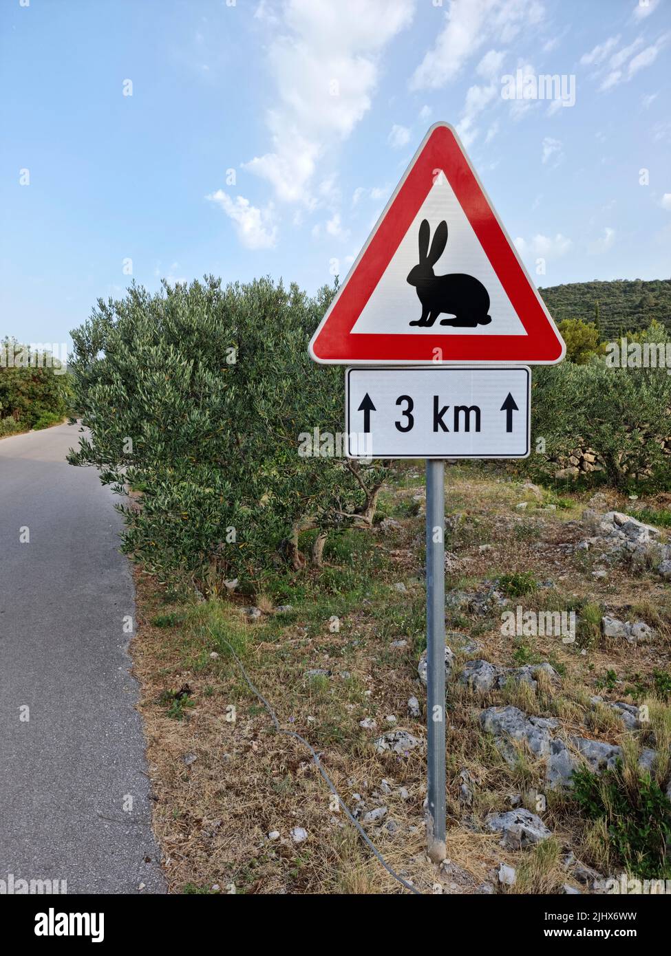 Rabbit warning road sign hi-res stock photography and images - Alamy