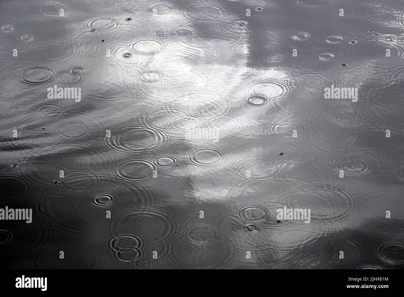 Drops of rain on water surface Stock Photo - Alamy